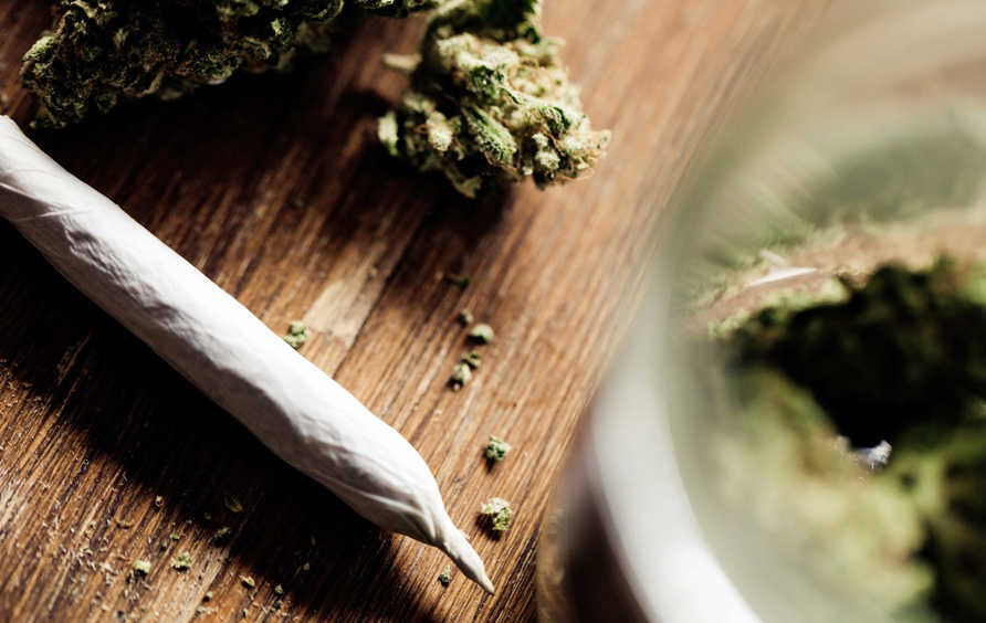 Mike Moffatt | Spotlight on pot | News & Events