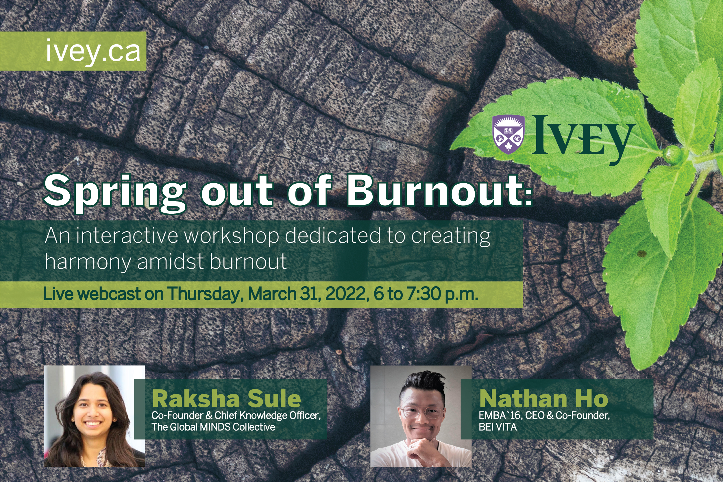 "Spring out of Burnout": An interactive workshop dedicated to creating ...
